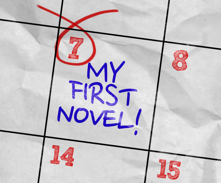 7 Steps To Write Your First Novel | The Creative Penn