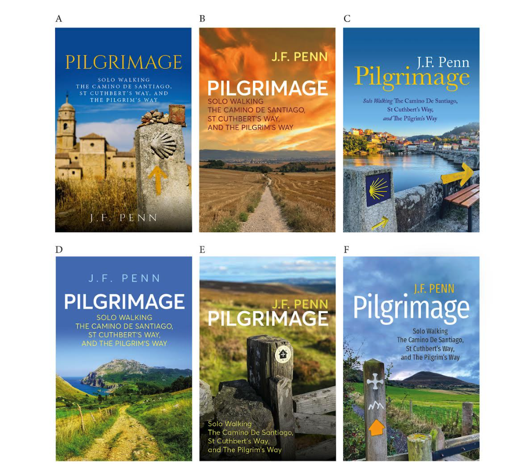 Why I Ignored Target Reader Feedback For My Pilgrimage Book Cover Design